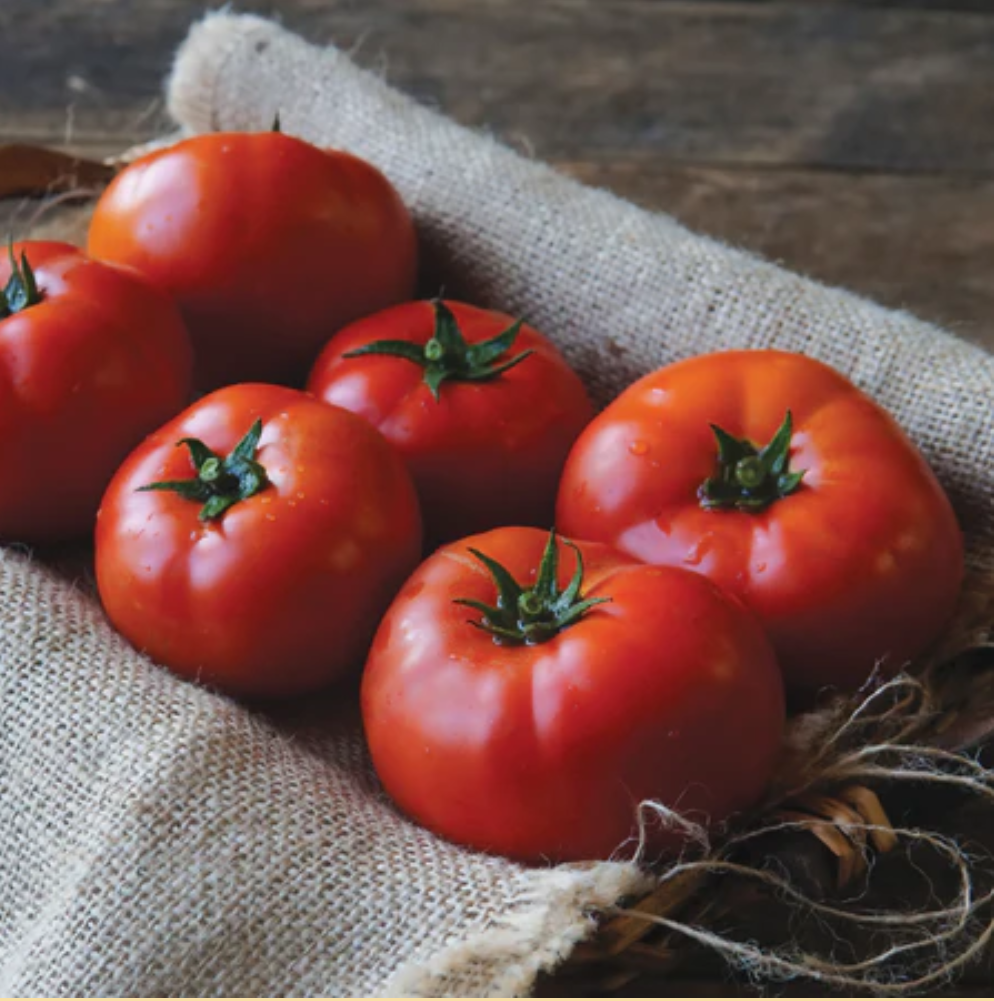 Emmy Lou - Slicing Tomato | Miller Dohrmann Farm